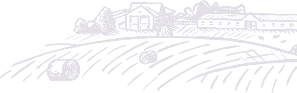 Prairie Wolf - Wander Folk Spirits